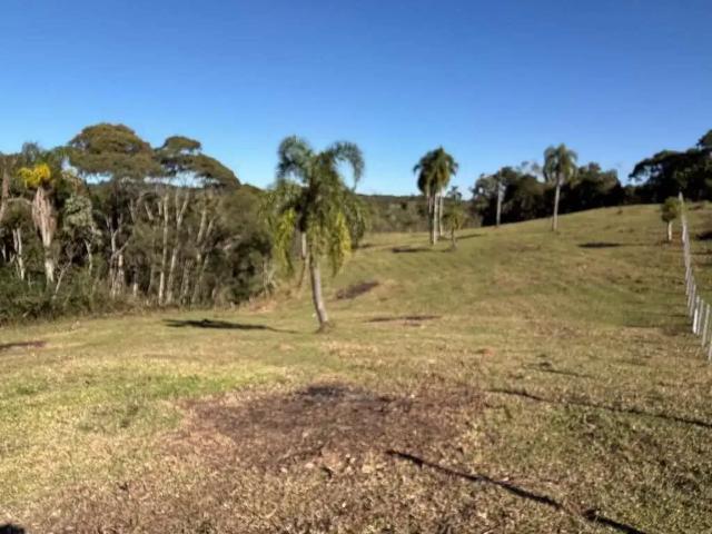 Terreno comercial para Venda em Piraquara/PR Vila Fuck