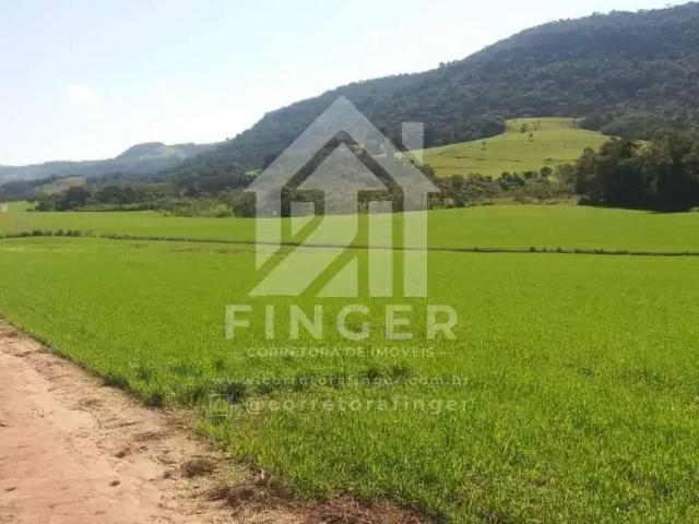 Terreno comercial para Venda em Pitanga/PR Centro