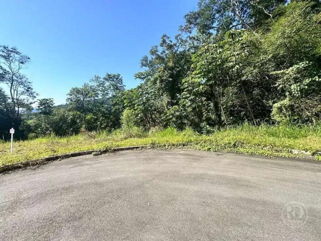 Terreno comercial para Venda em Pomerode/SC Testo Central