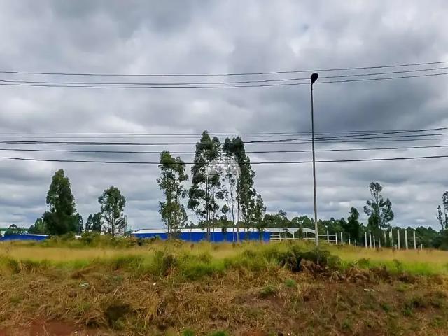 Terreno comercial para Venda em Ponta Grossa/PR Cará cará