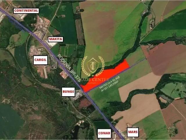 Terreno comercial para Venda em Ponta Grossa/PR Cará cará