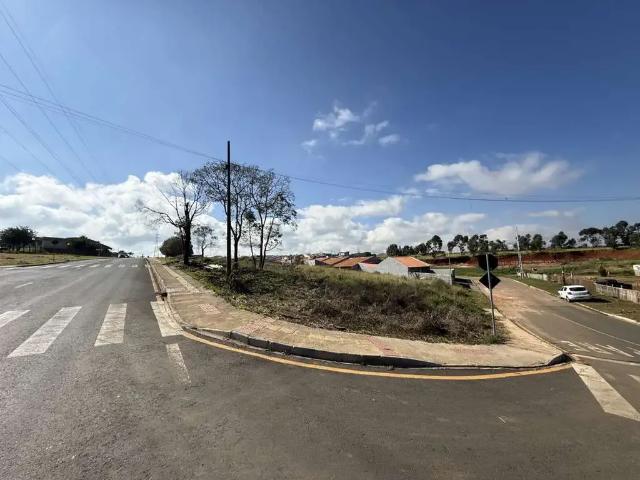 Terreno comercial para Venda em Ponta Grossa/PR Cará cará