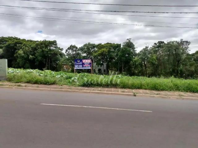 Terreno comercial para Venda em Ponta Grossa/PR Cará cará