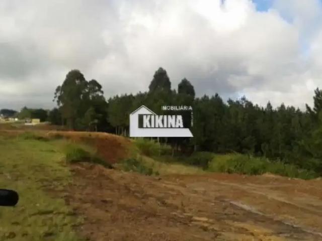 Terreno comercial para Venda em Ponta Grossa/PR Colônia Dona LuÍza