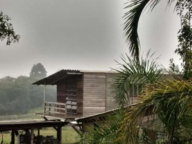 Terreno comercial para Venda em Portão/RS Macaco Branco