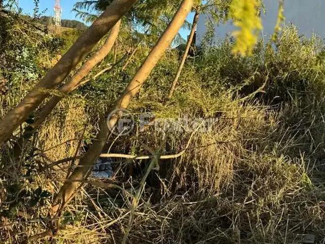 Terreno comercial para Venda em Porto Alegre/RS Morro Santana