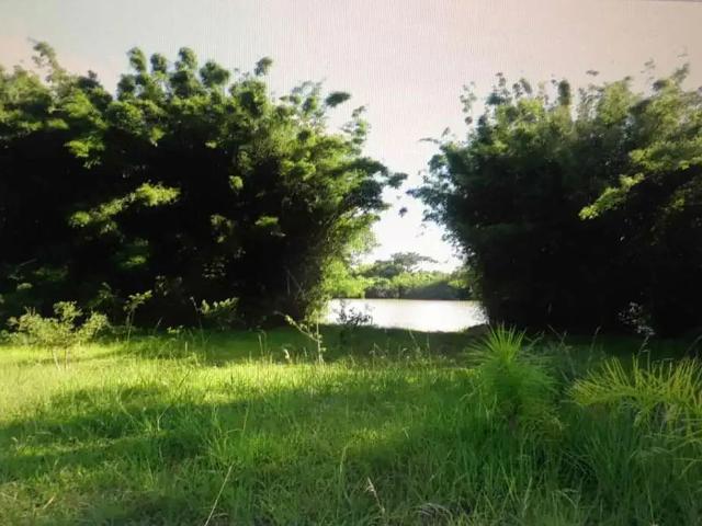 Terreno comercial para Venda em Porto Alegre/RS Arquipélago