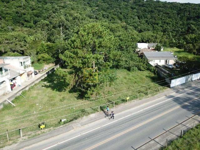Terreno comercial para Venda em Porto Belo/SC Balneário Perequê