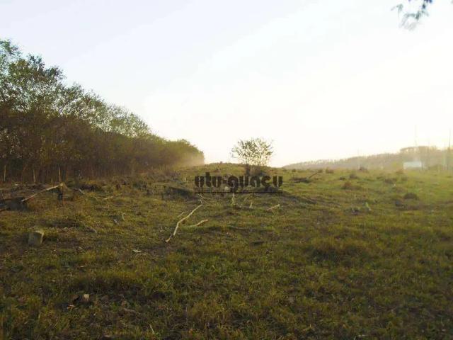 Terreno comercial para Venda em Porto Feliz/SP Soamin