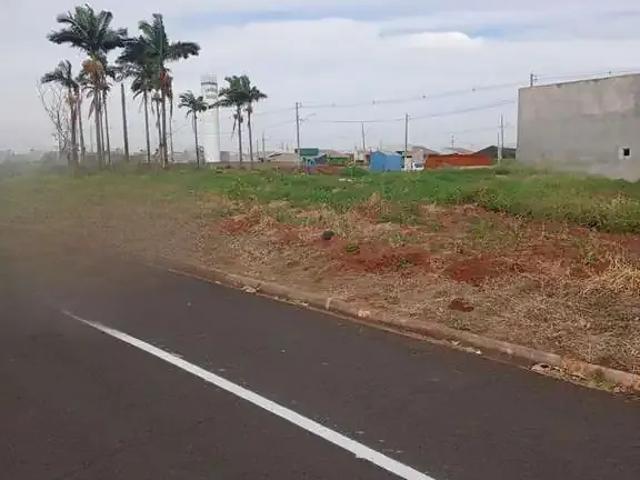 Terreno comercial para Venda em Presidente Castelo Branco/PR Centro