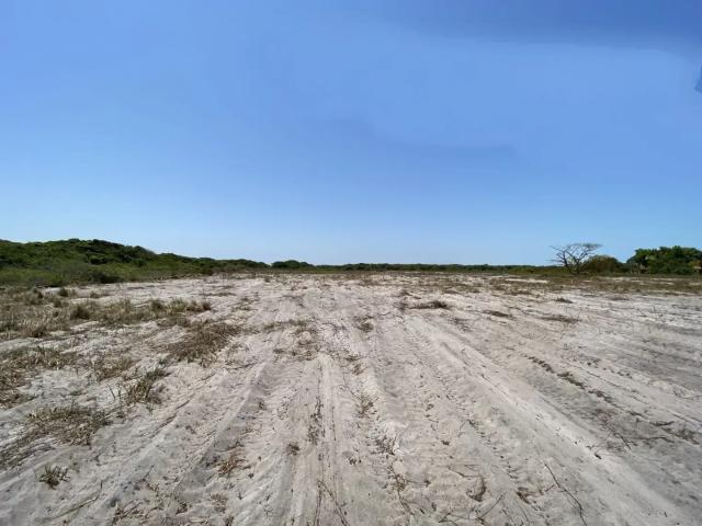 Terreno comercial para Venda em Presidente Kennedy/ES Praia das Neves
