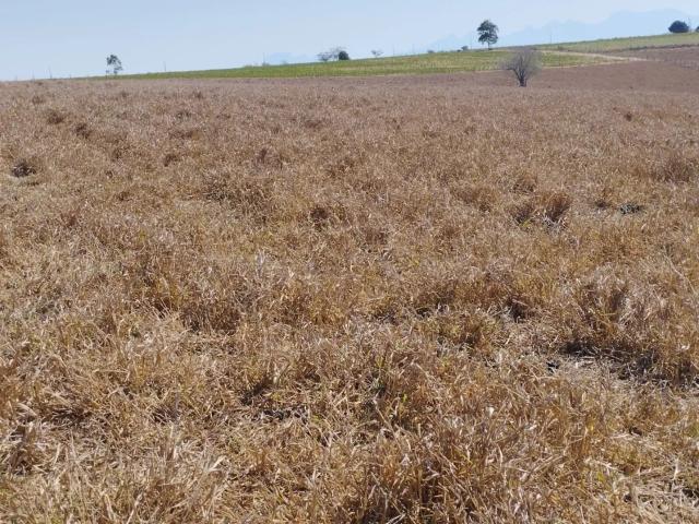 Terreno comercial para Venda em Presidente Kennedy/ES Praia de Marobá