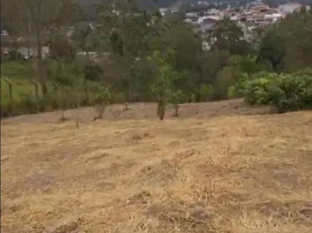 Terreno comercial para Venda em Ribeirão Pires/SP Quarta Divisão