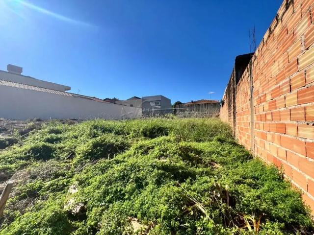 Terreno comercial para Venda em Ribeirão Preto/SP Alto da Boa Vista