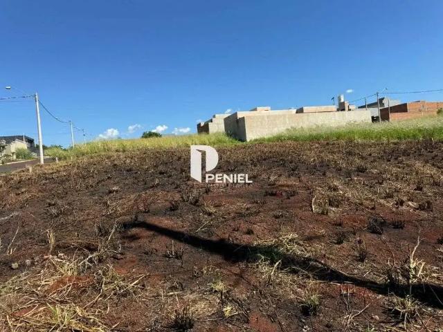 Terreno comercial para Venda em Ribeirão Preto/SP Bonfim Paulista