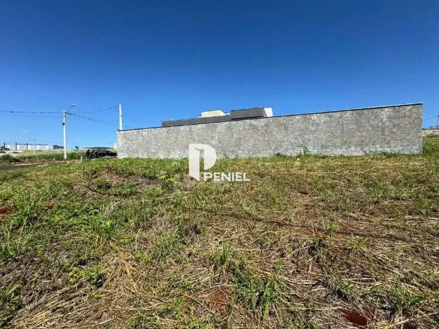 Terreno comercial para Venda em Ribeirão Preto/SP Bonfim Paulista