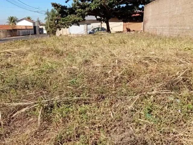 Terreno comercial para Venda em Ribeirão Preto/SP Engenheiro Carlos de Lacerda Chaves