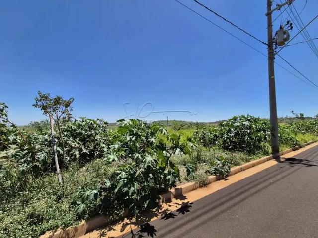 Terreno comercial para Venda em Ribeirão Preto/SP Fazenda Santa Rita do Picadão
