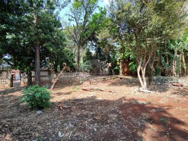 Terreno comercial para Venda em Ribeirão Preto/SP Ipiranga