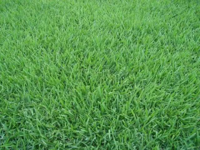 Terreno comercial para Venda em Ribeirão Preto/SP Jardim Manoel Penna