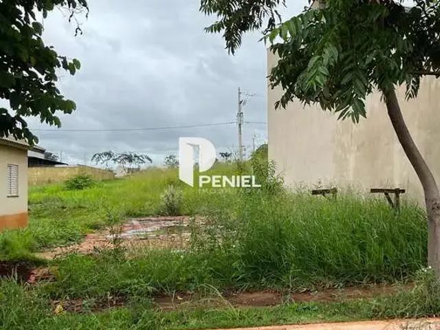Terreno comercial para Venda em Ribeirão Preto/SP Jardim Cristo Redentor