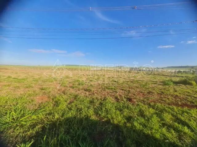 Terreno comercial para Venda em Ribeirão Preto/SP Santa Iria