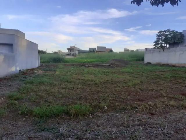 Terreno comercial para Venda em Ribeirão Preto/SP Santa Martha