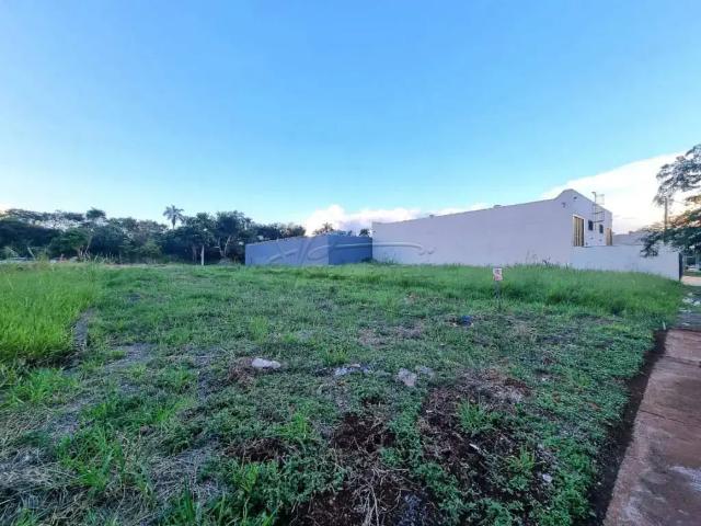 Terreno comercial para Venda em Ribeirão Preto/SP Parque das Oliveiras