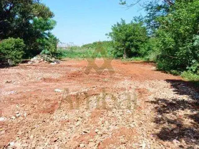 Terreno comercial para Venda em Ribeirão Preto/SP Quintino Facci II