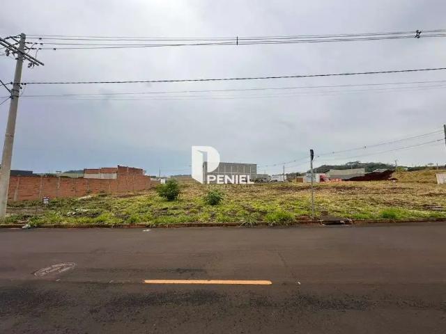 Terreno comercial para Venda em Ribeirão Preto/SP Recreio Anhangüera