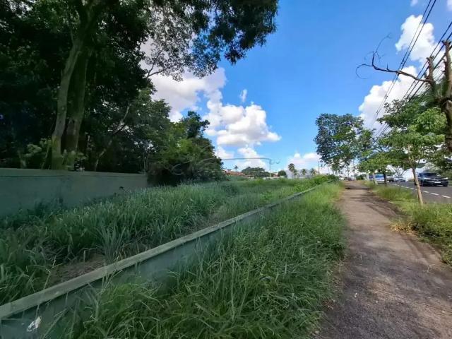 Terreno comercial para Venda em Ribeirão Preto/SP Ribeirânia