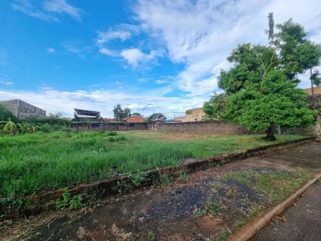 Terreno comercial para Venda em Ribeirão Preto/SP Vila Brasil