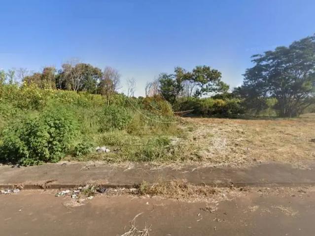 Terreno comercial para Venda em Ribeirão Preto/SP Vila Elisa