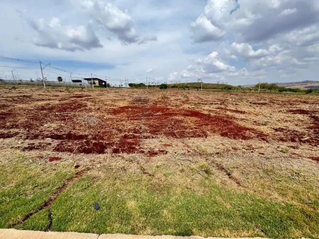 Terreno comercial para Venda em Ribeirão Preto/SP Village Costa Sul