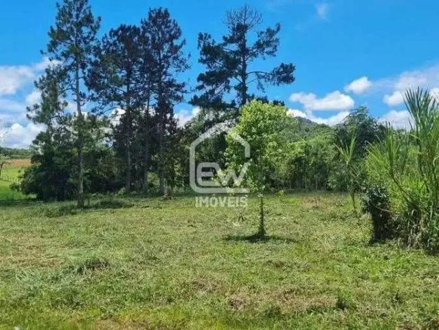 Terreno comercial para Venda em Rio dos Cedros/SC Cruzeiro 1 Quartos