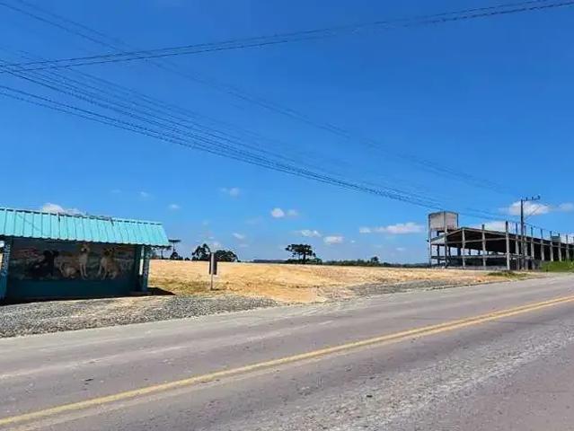 Terreno comercial para Venda em Rio Negrinho/SC Vista Alegre