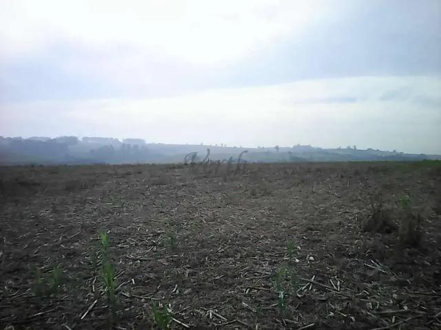 Terreno comercial para Venda em Sumaré/SP Chácara Cruzeiro do Sul