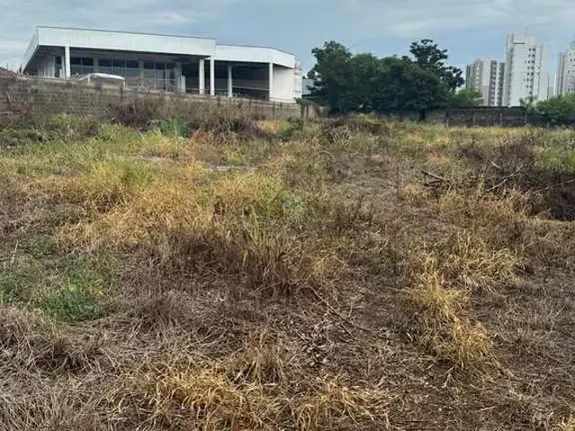 Terreno comercial para Venda em Sumaré/SP Jardim das Palmeiras