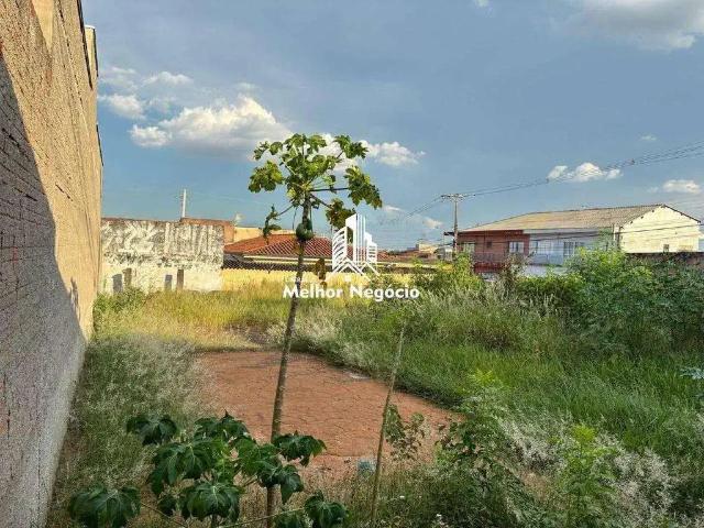 Terreno comercial para Venda em Sumaré/SP Jardim Denadai Nova Veneza