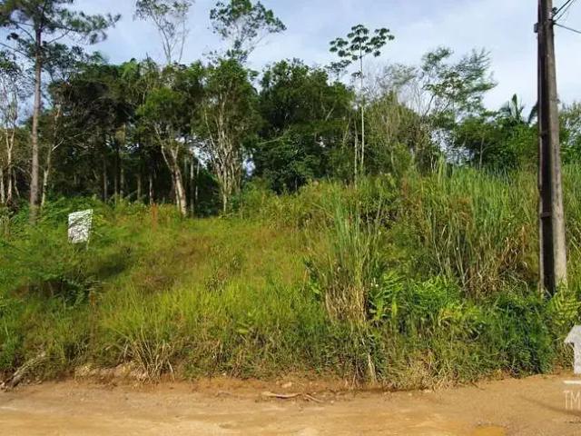 Terreno comercial para Venda em São Francisco do Sul/SC Morro da Palha