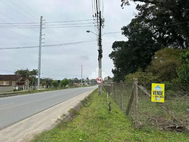 Terreno comercial para Venda em São Francisco do Sul/SC Praia do Ervino