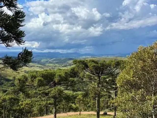 Terreno comercial para Venda em São Joaquim/SC Pericó