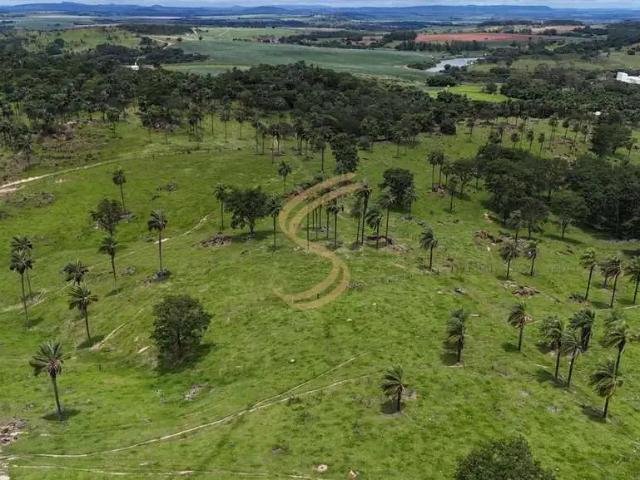 Terreno comercial para Venda em São José do Rio Pardo/SP Zona Rural