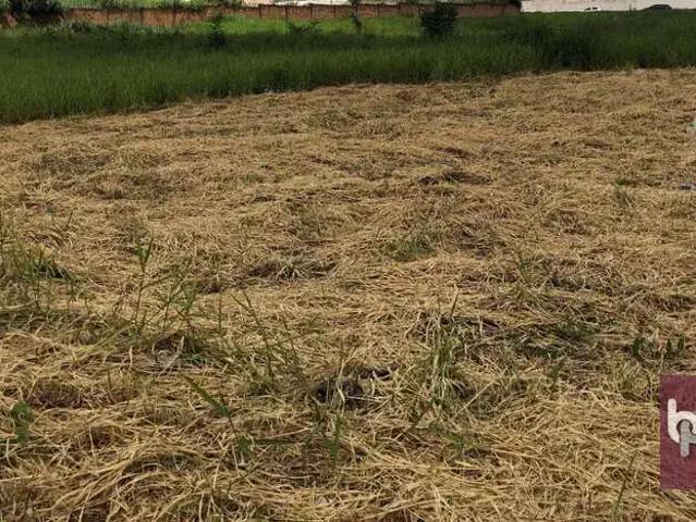 Terreno comercial para Venda em São José do Rio Preto/SP Centro