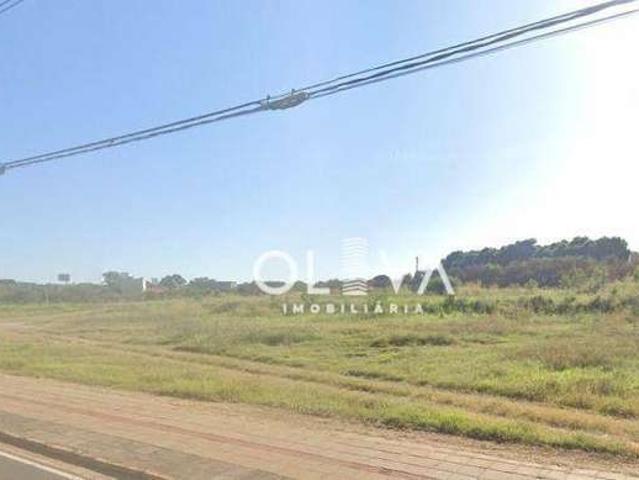 Terreno comercial para Venda em São José do Rio Preto/SP Jardim das Oliveiras