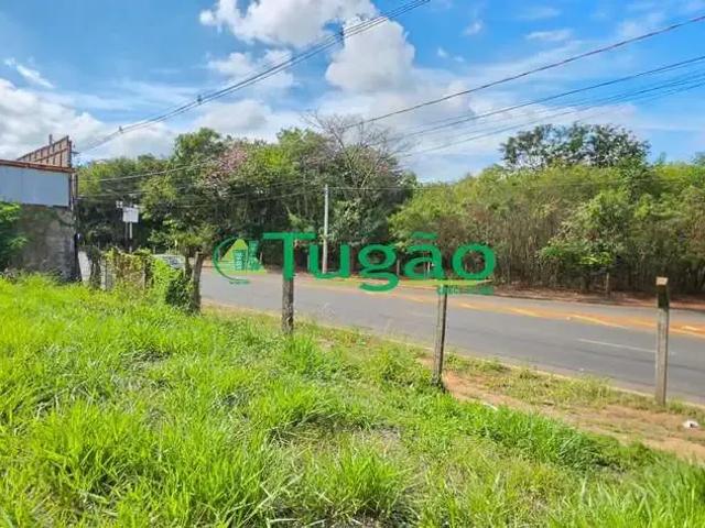 Terreno comercial para Venda em São José do Rio Preto/SP Jardim Itapema