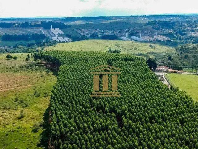 Terreno comercial para Venda em São José dos Campos/SP Jardim Santa Hermínia