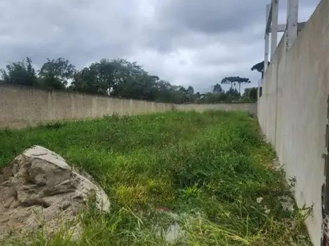 Terreno comercial para Venda em São José dos Pinhais/PR Colônia Murici
