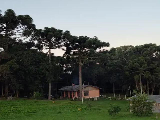 Terreno comercial para Venda em São José dos Pinhais/PR Contenda