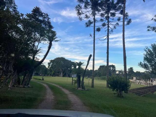 Terreno comercial para Venda em São José dos Pinhais/PR Colônia Murici